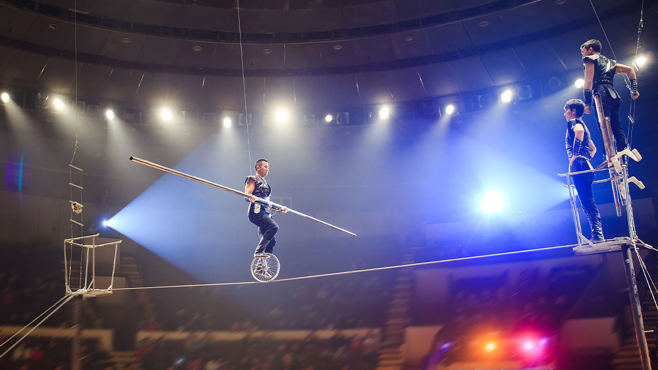 Exciting Circus Performer Jobs with Jobeling